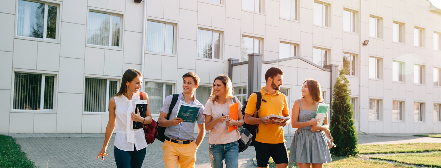 Professional IT & Non-IT Course Training Institute in India | SkillIQ